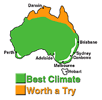 Gymea Lily - Burke's Backyard