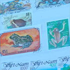 Frog Collector - Burke's Backyard