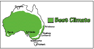 Native Hibiscus - Burke's Backyard