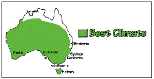 Ornamental Grape - Burke's Backyard