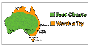 Sturt's Desert Pea - Burke's Backyard