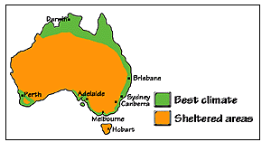 Bamboo - Burke's Backyard