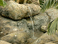 Rock Making - Burke's Backyard