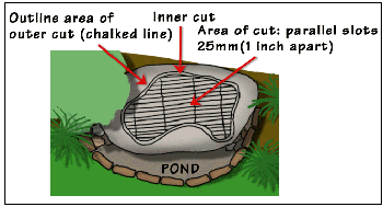 Fish Pond Makeover - Burke's Backyard
