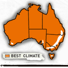 Dividing Clivias - Burke's Backyard