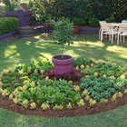 Herb Wheel - Burke's Backyard