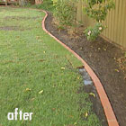 Bad Landscaping - Burke's Backyard