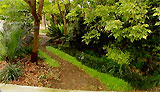 Footpath Planting - Burke's Backyard