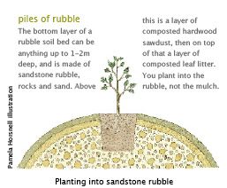 Growing native plants in sandstone rubble - Burke's Backyard