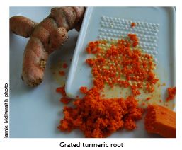 Turmeric and Ginger tips - Burke's Backyard