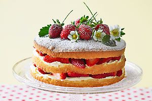 Strawberry Torte - Burke's Backyard