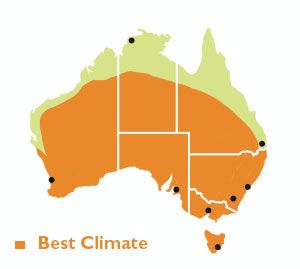 Magnolia - Vulcan - Burke's Backyard