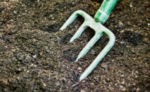 Adding Organic Matter to Soil - Burkes Backyard