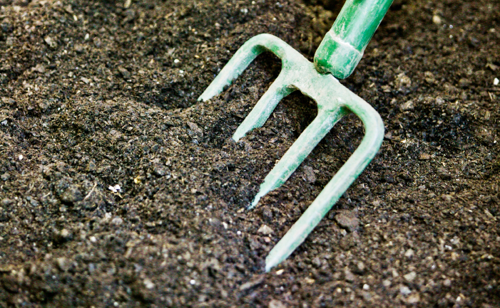 Adding Organic Matter to Soil - Burke's Backyard