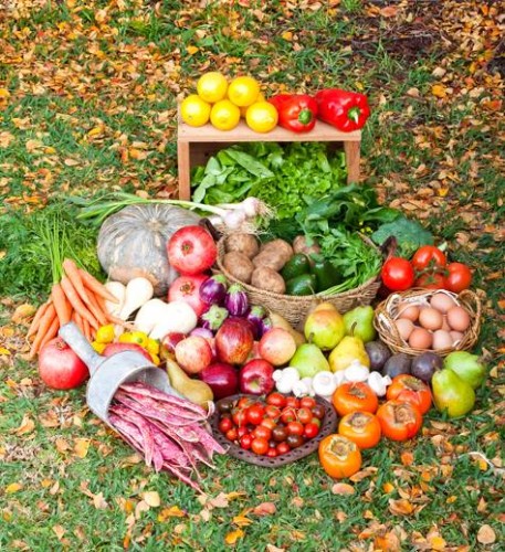 Don's Tips: Organic Vegies - Burke's Backyard