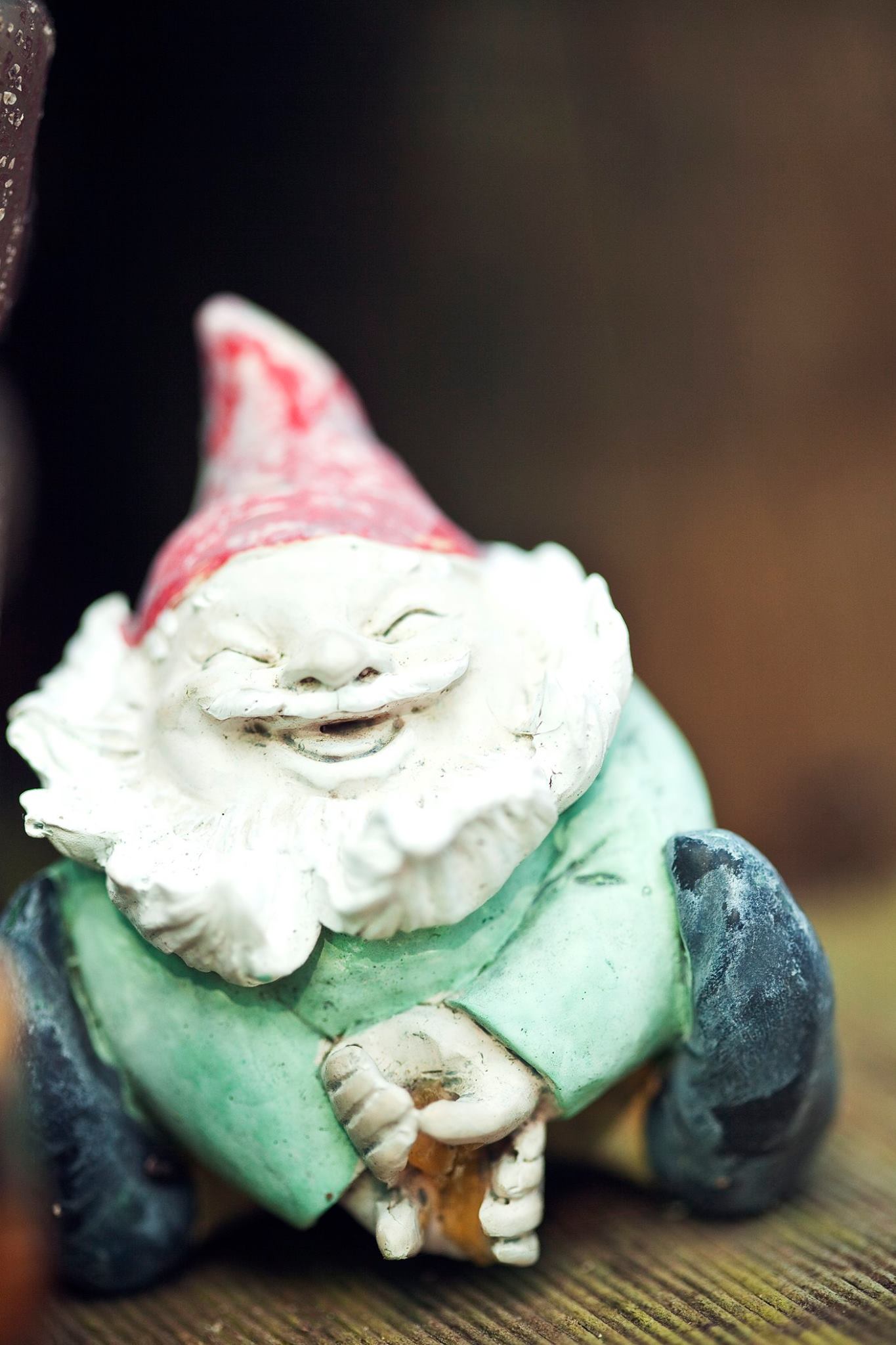 Don's Tips: Gnomes - Burke's Backyard