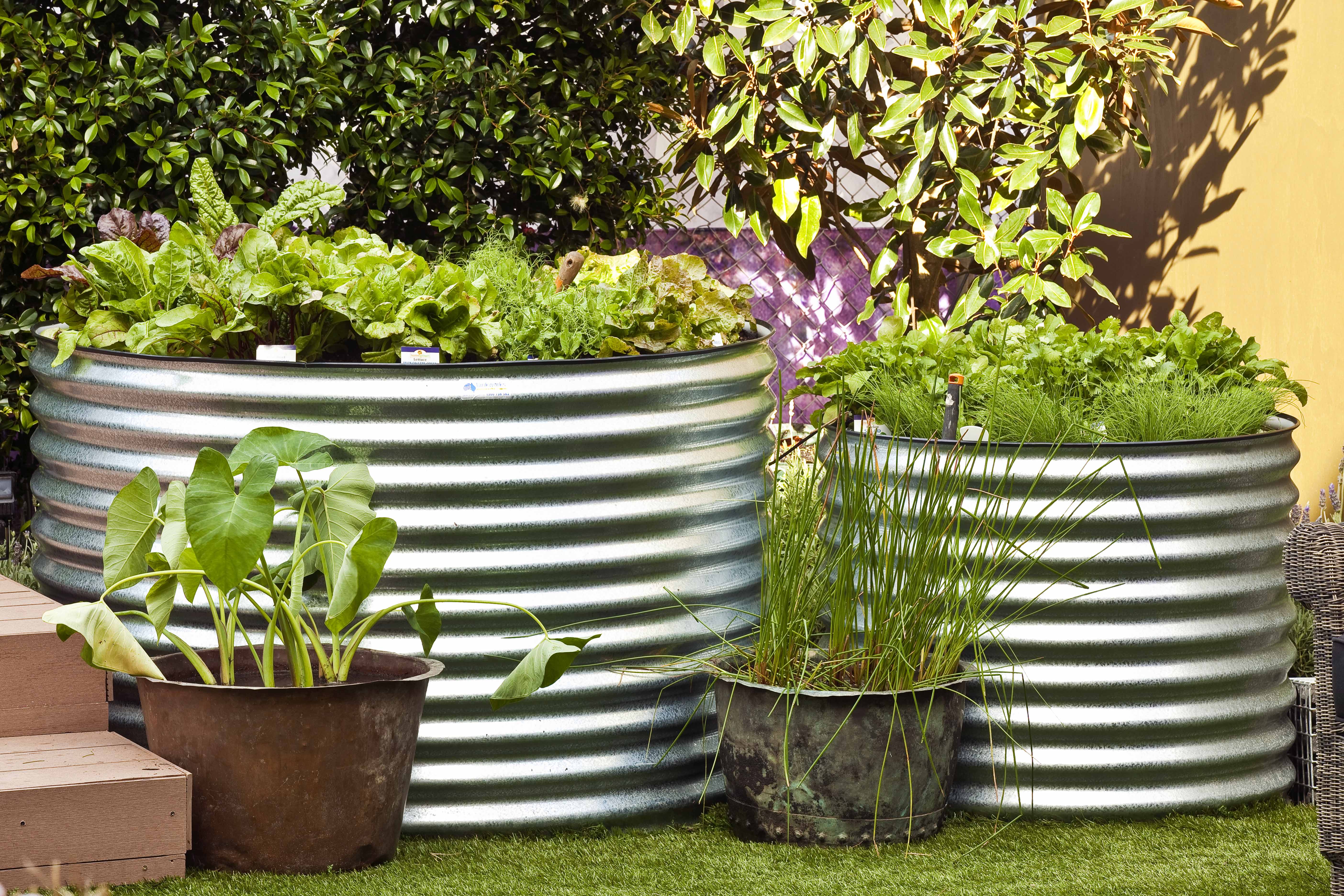 Don's Tips: Backyard Farm - Burke's Backyard