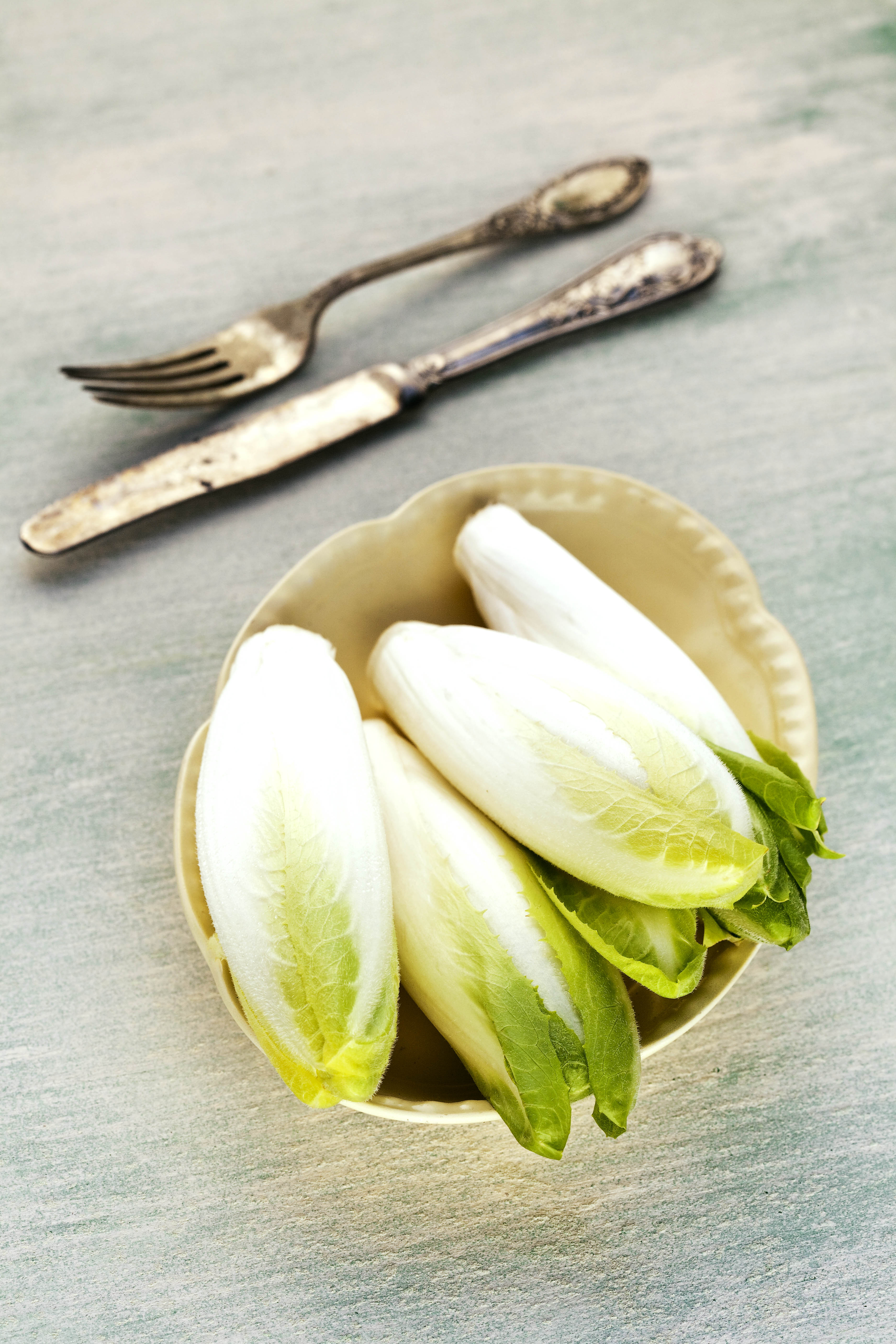 Don's Tips: Witlof - Burke's Backyard