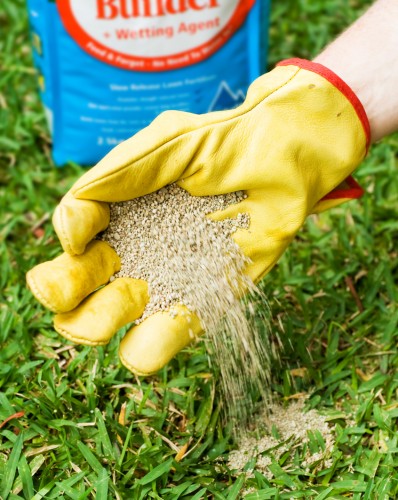 Don’s Tips: Lawn Foods - Burke's Backyard