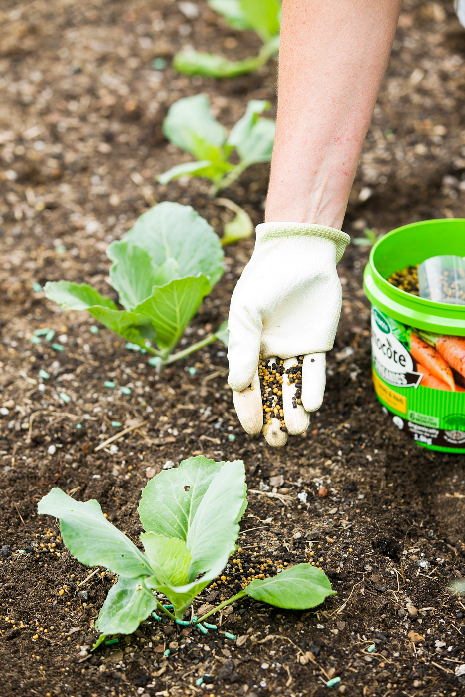 Don’s Tips: Fertilise Vegies Now - Burke's Backyard