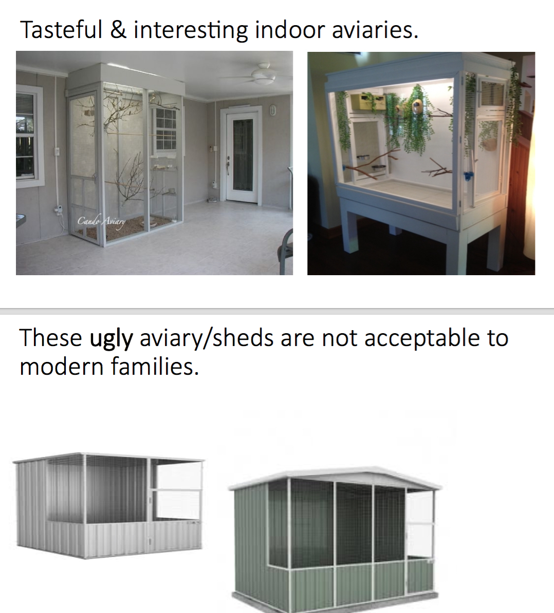 Finch Aviaries - Burke's Backyard