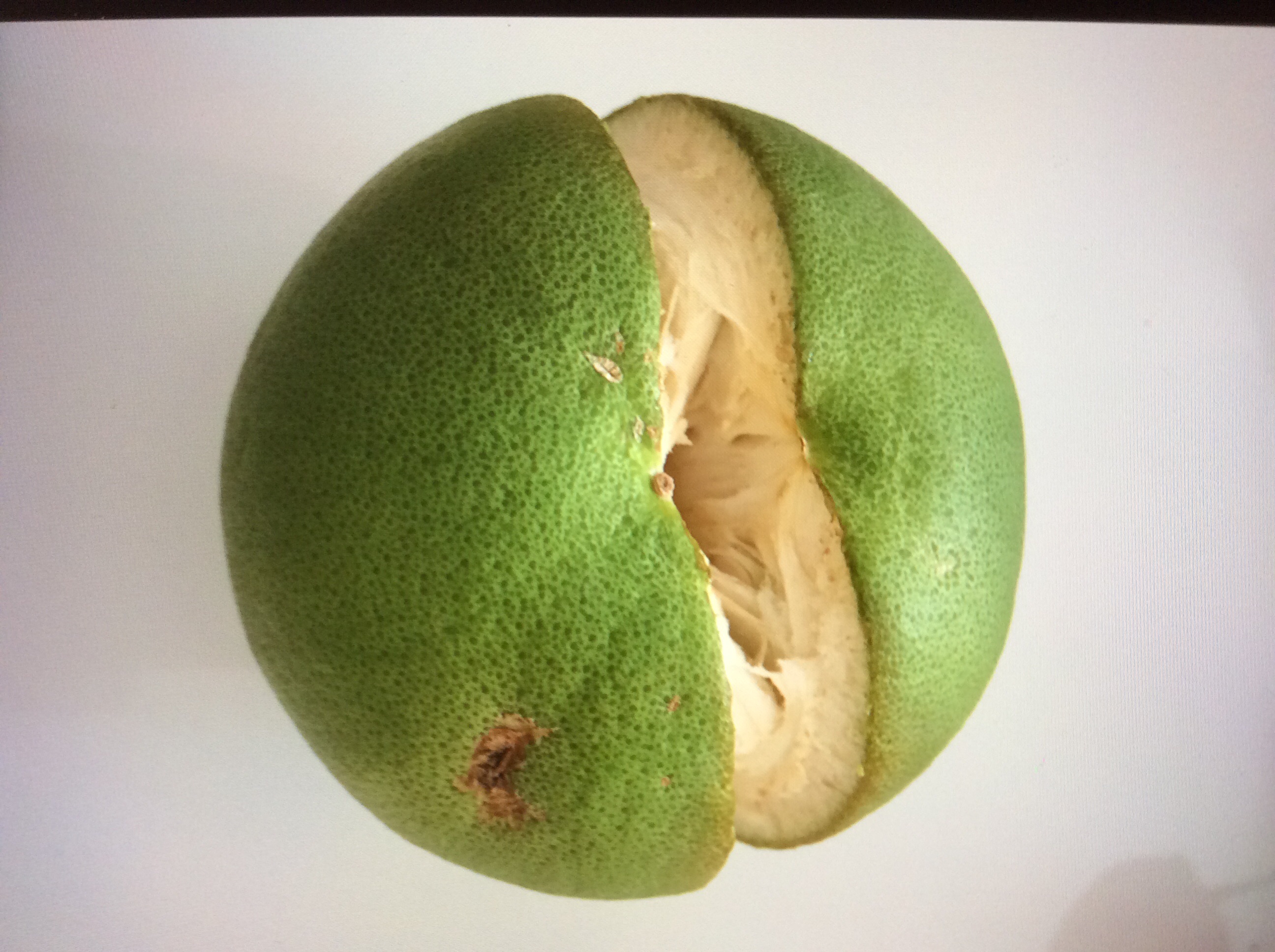 Don’s Expert Answers: Grapefruit splitting and falling down before the ...