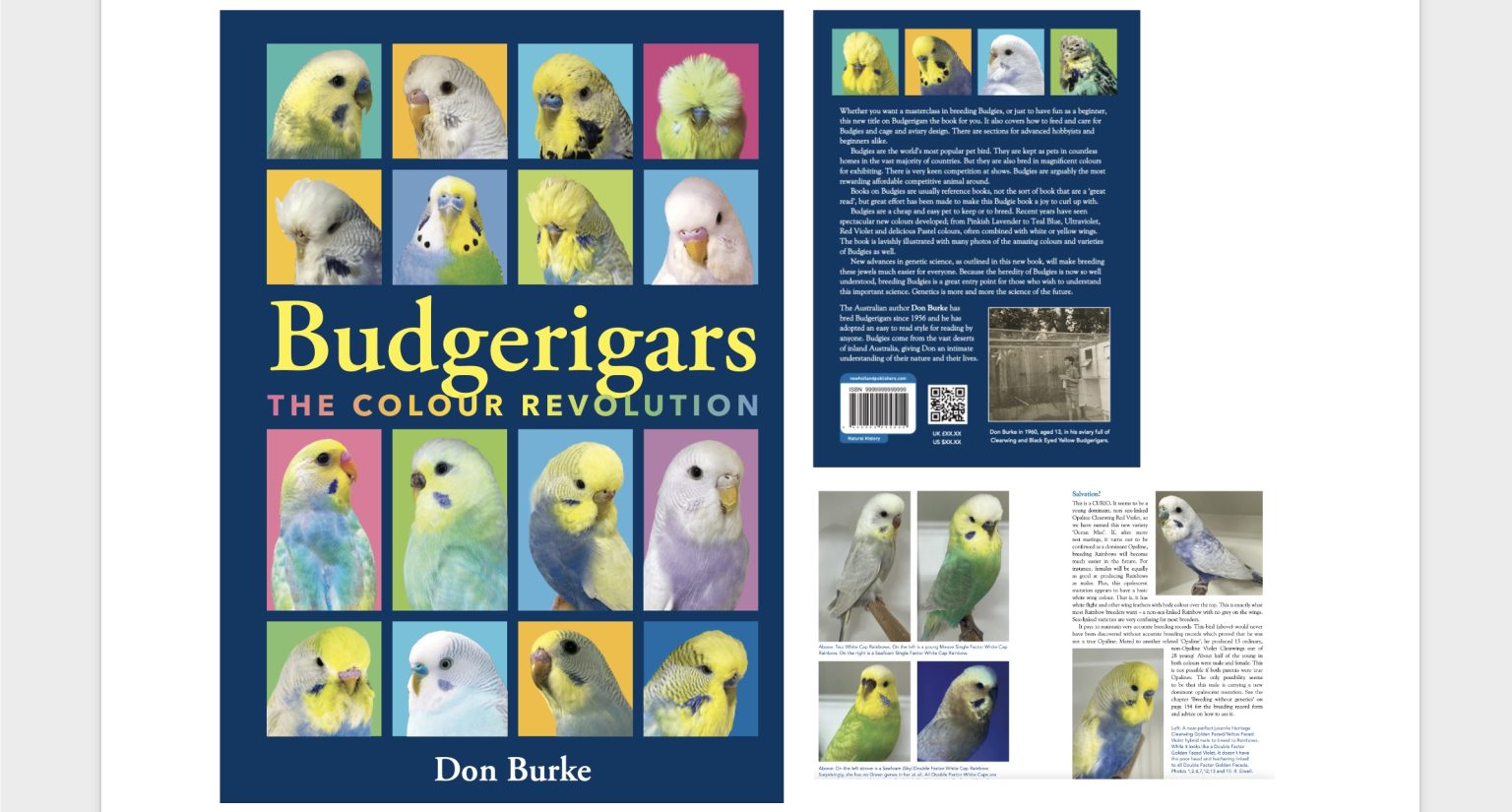 Budgerigars -The Colour Revolution. New book by Don Burke - Burke's ...